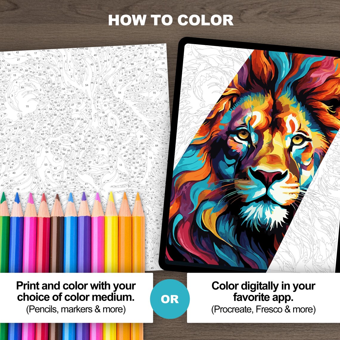 Color by Number Lion (6 Skill Levels) Digital Download | Printable ...