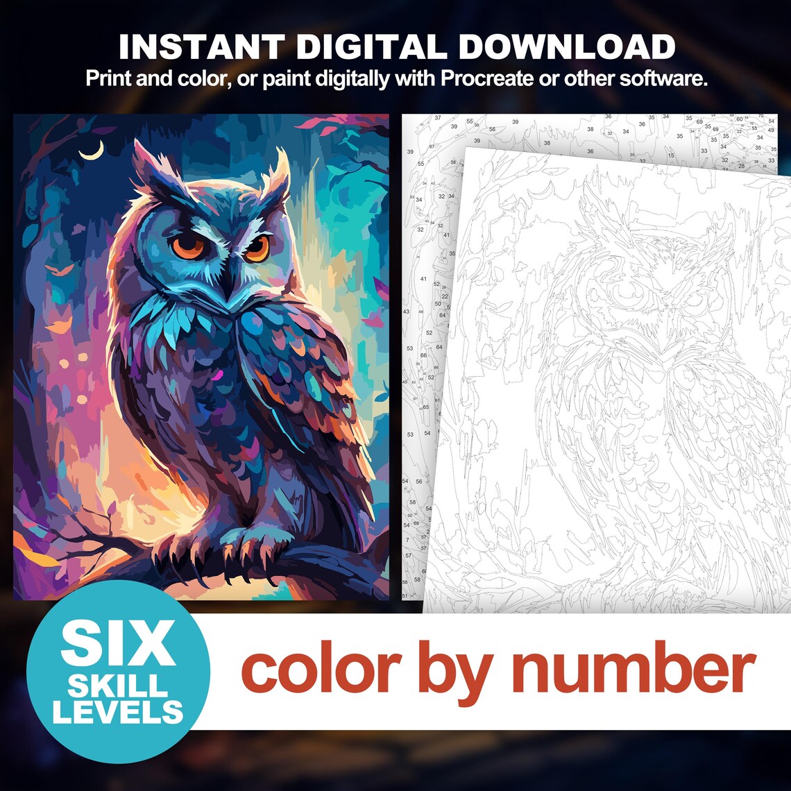 Color by Number Owl (6 Skill Levels): Paint by Numbers Printable ...