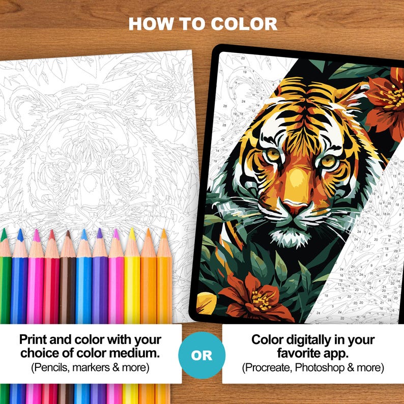 Color by Number Tiger Coloring Page Digital Download Printable ...