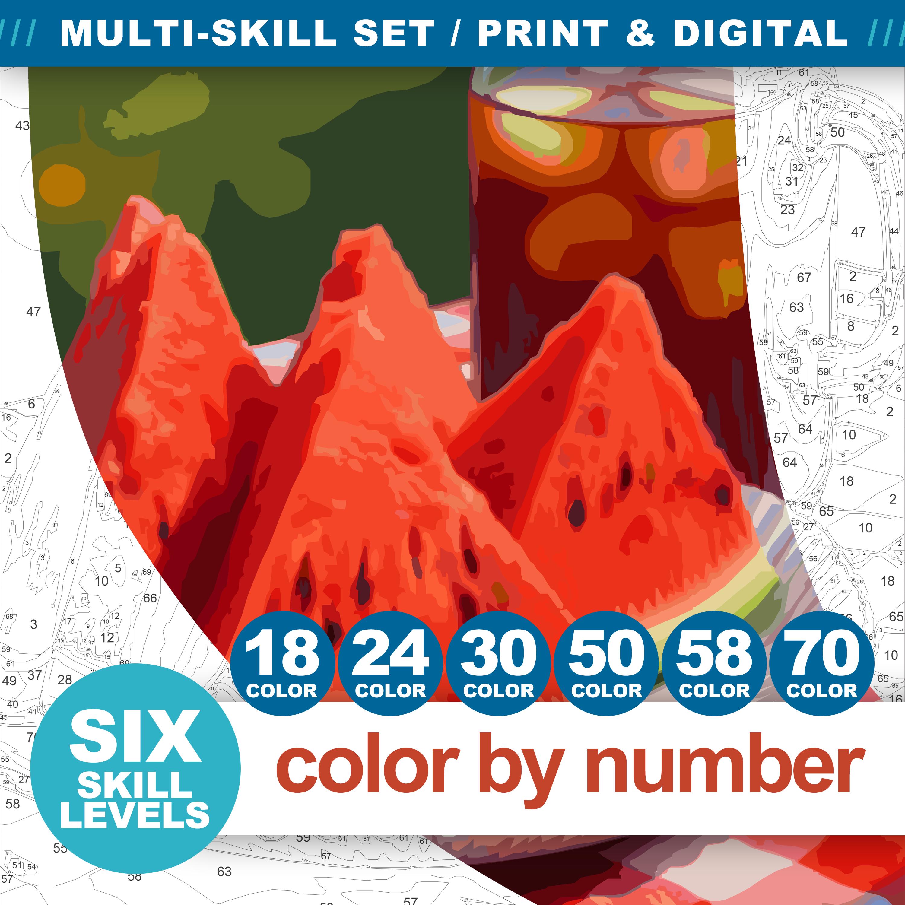 Color by Number Summer (6 Skill Levels): Watermelon Paint by Numbers ...