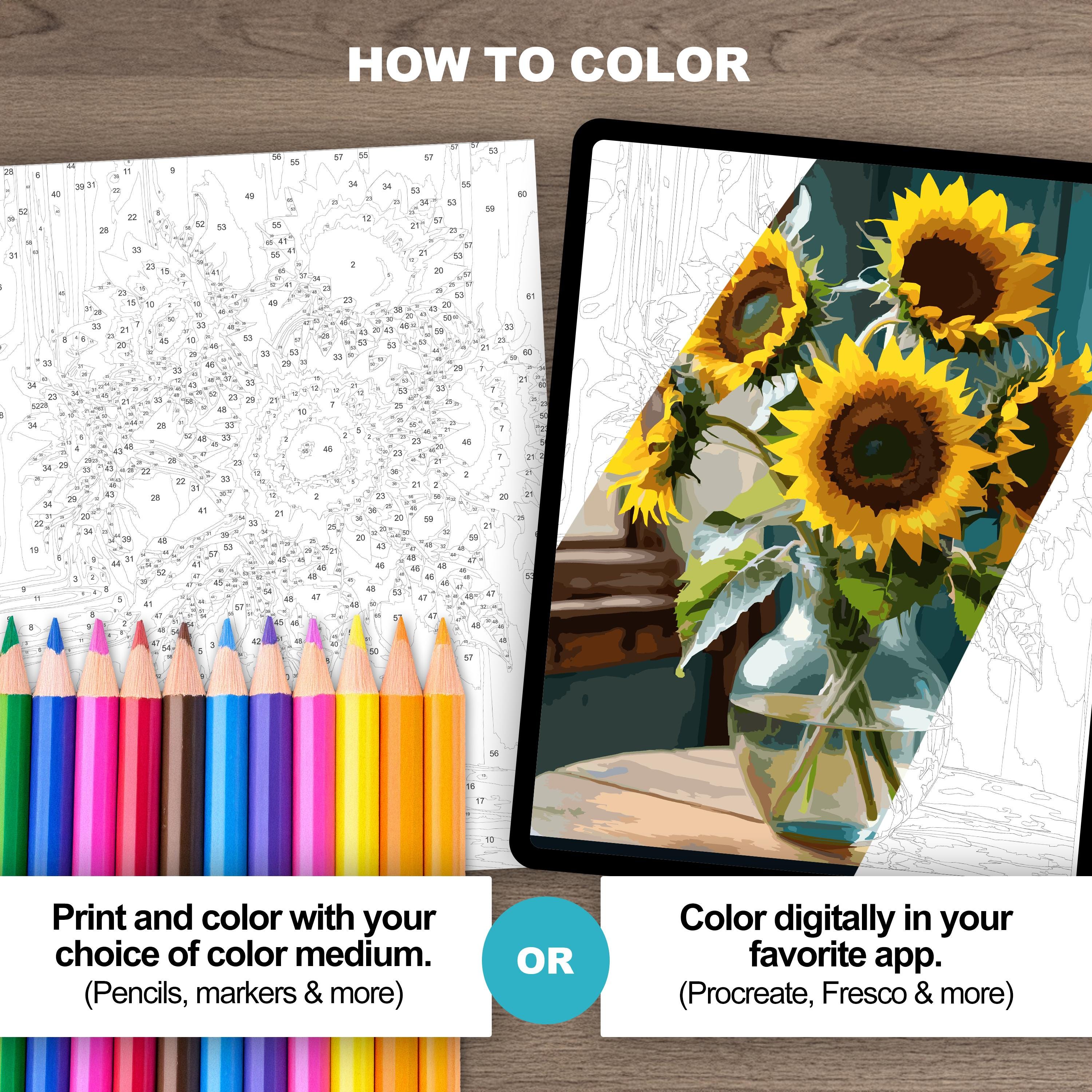 Color by Number for Adults Printable Sunflower Coloring Page Digital ...