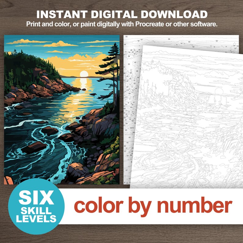Color by Number Acadia National Park Painting by Numbers Printable and ...