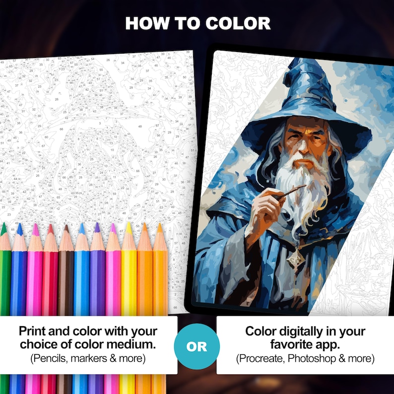 Color by Number Adult Printable Coloring Page Wizard Paint by Number ...