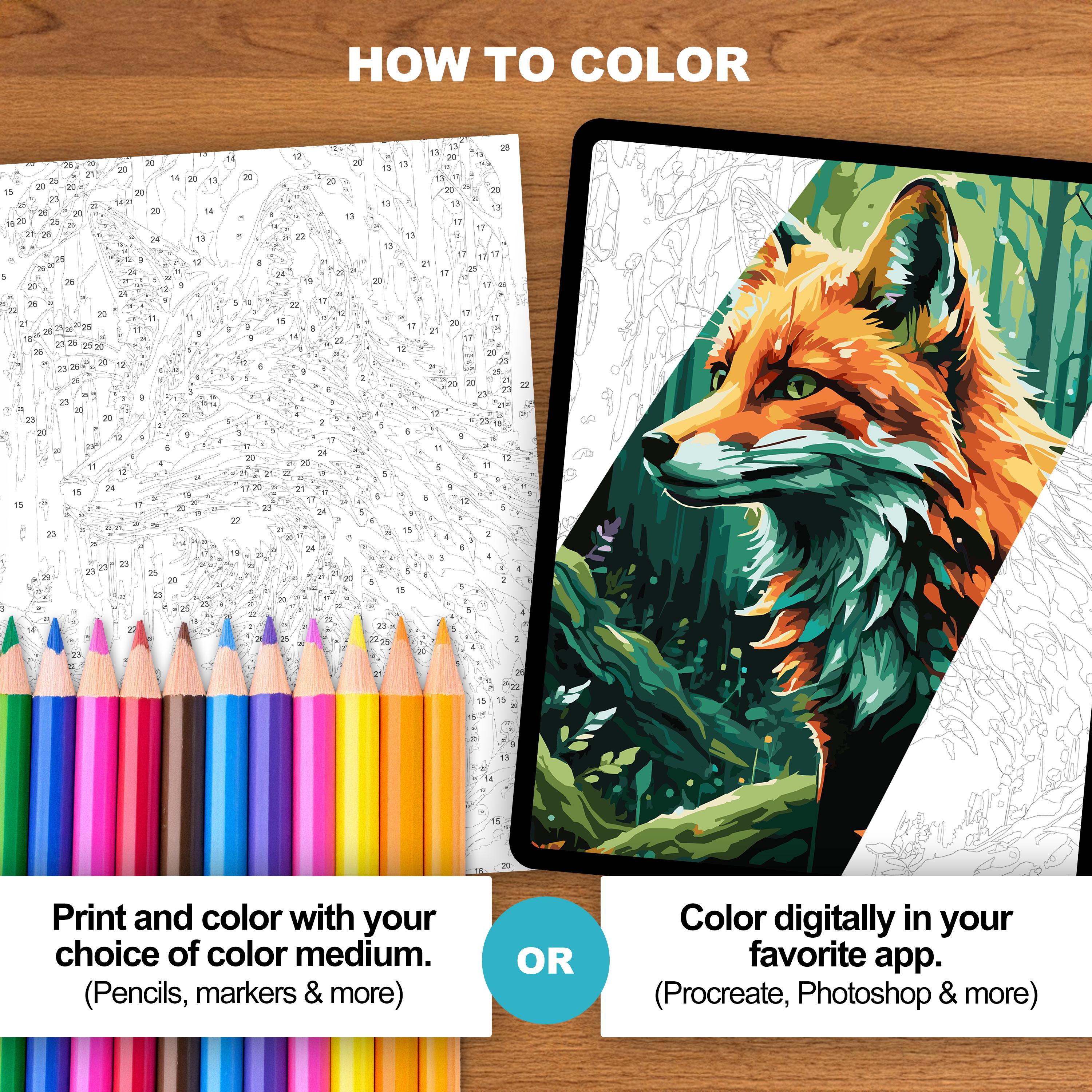 Fox Printable Color by Number (30-color) Digital Download, Digital ...