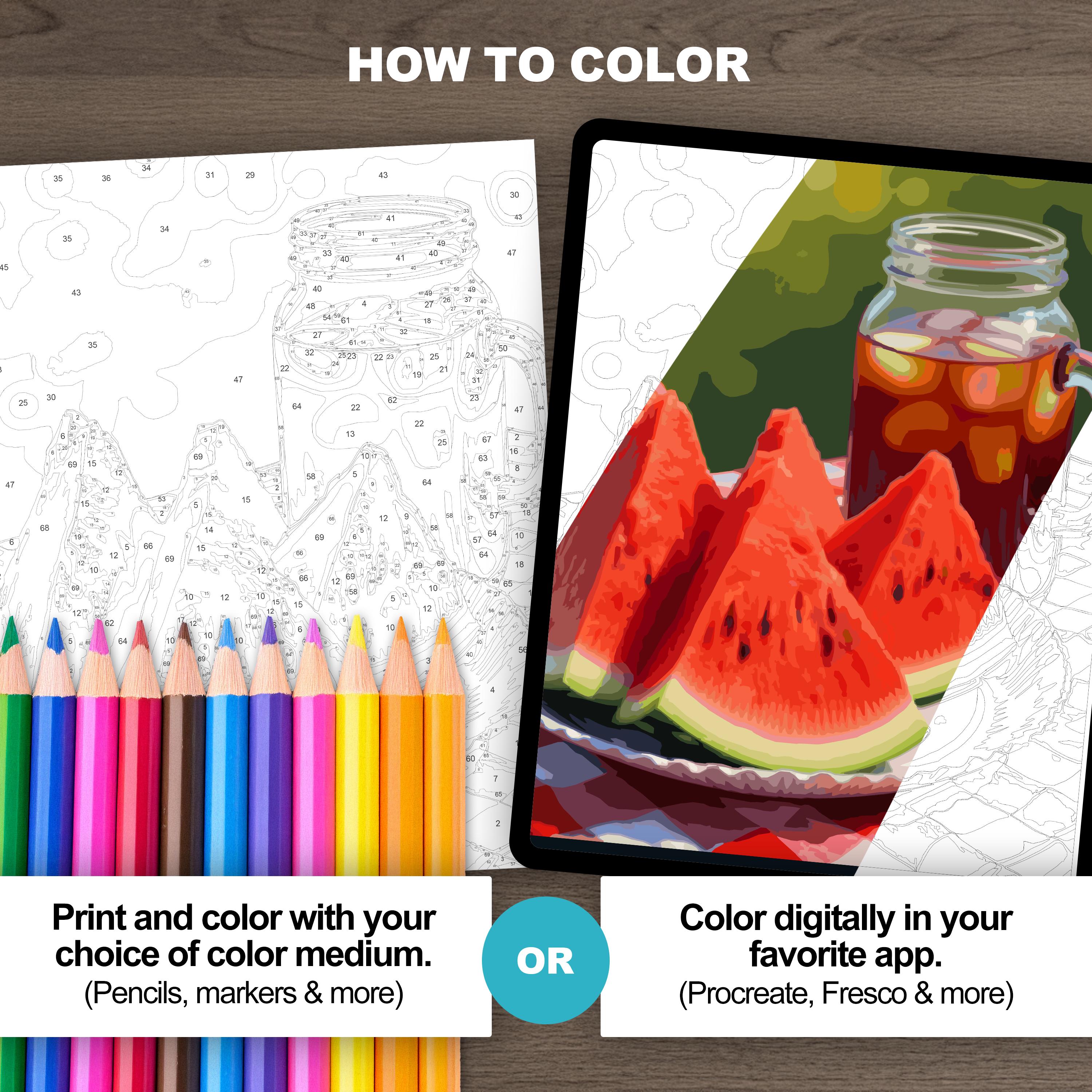 Color by Number Summer (6 Skill Levels): Watermelon Paint by Numbers ...