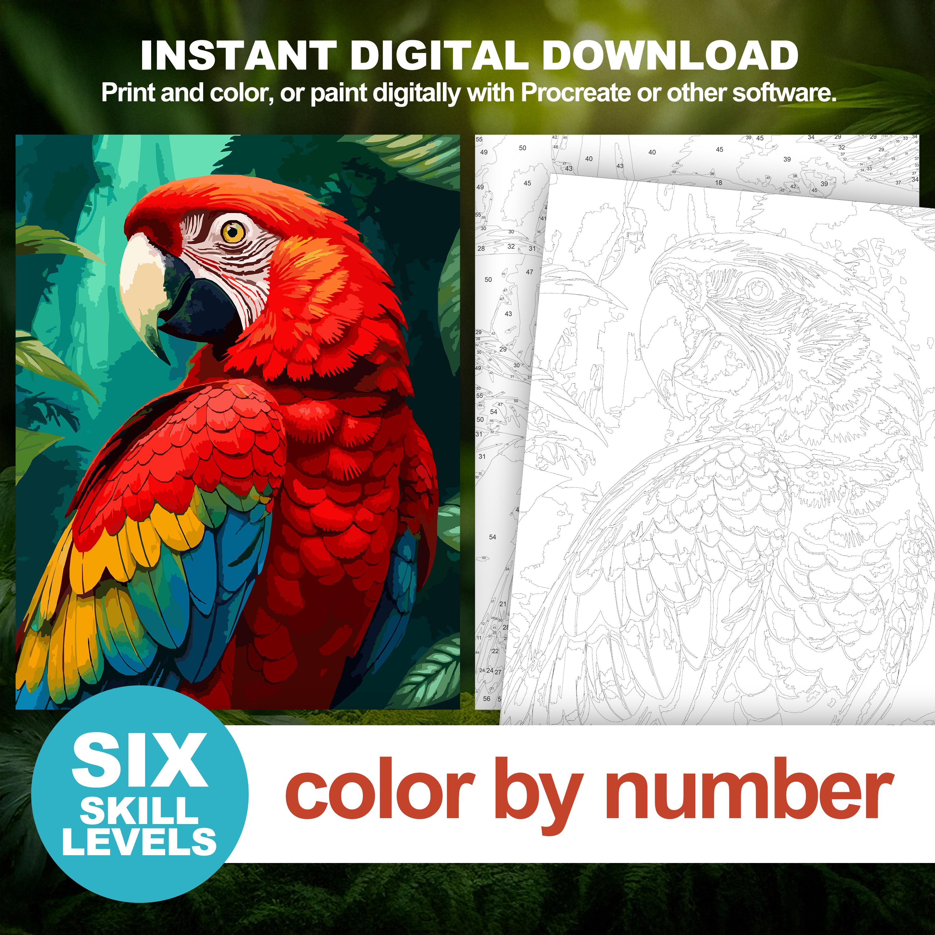 Scarlet Macaw Color by Number: Tropical Bird Art (digital Download, 6 ...