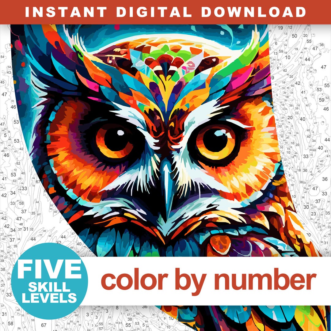 Color by Number Owl (5 Skill Levels) Digital Download | Printable ...