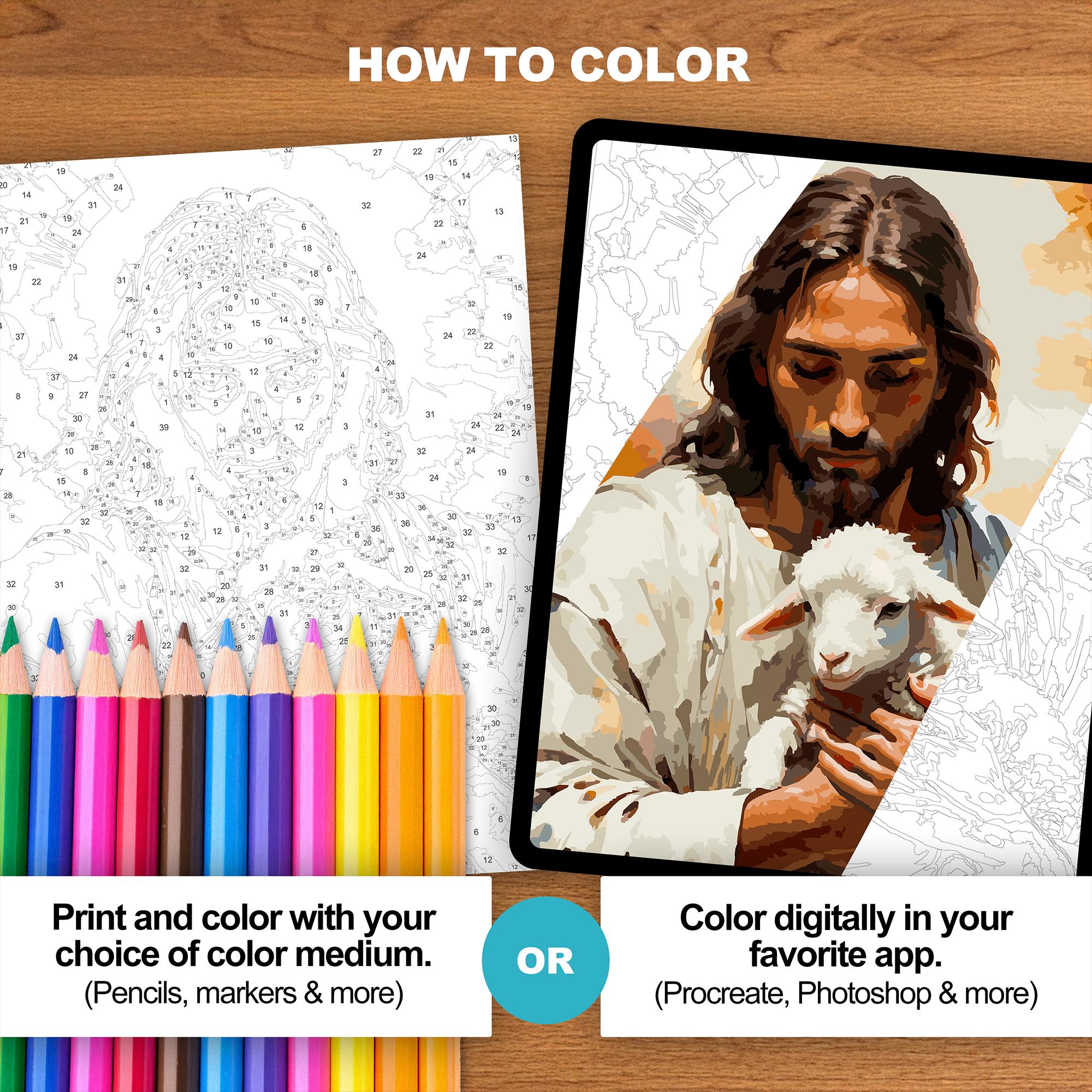 Jesus Color by Number (39-color) Digital or Printable – Lost Lamb ...