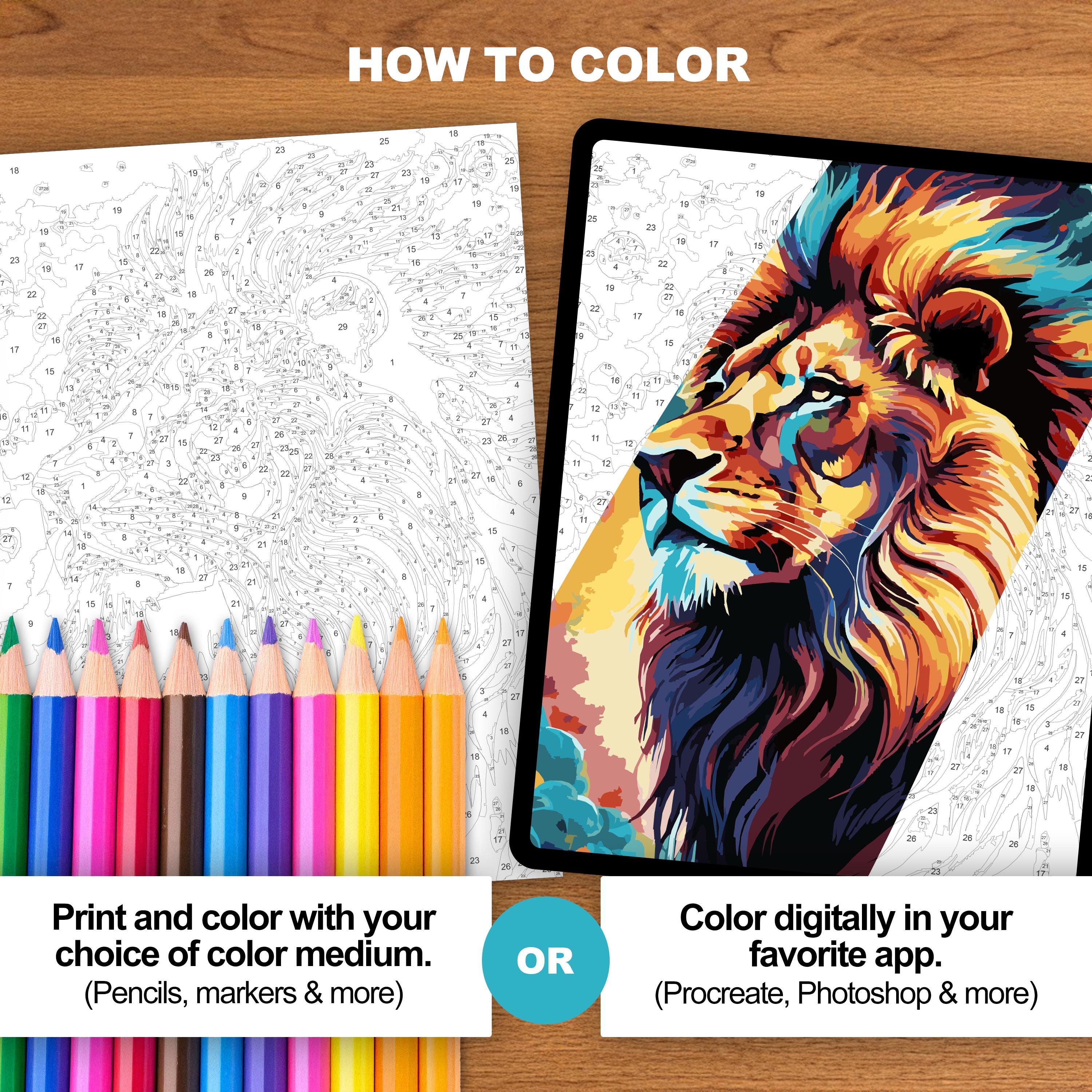 Lion Color by Number for Adults Printable Coloring Page Digital ...