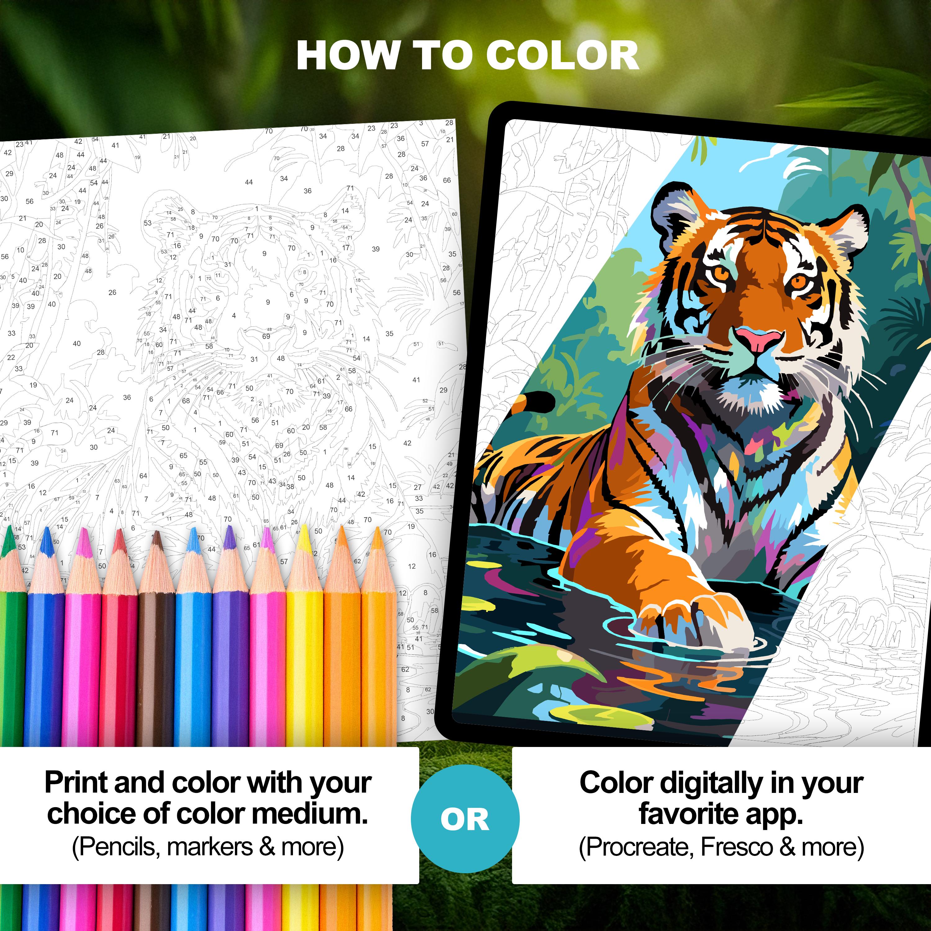 Tiger Paint by Number Coloring Pages: Animal Coloring (6 Skill Level ...