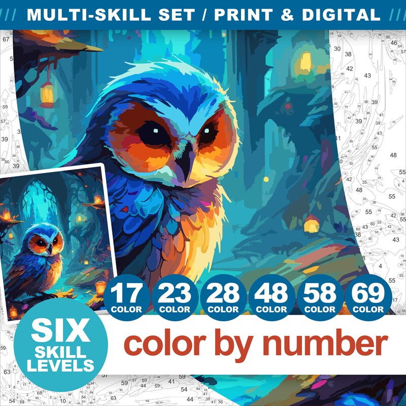 Paint by Number Kit, Owl - Etsy