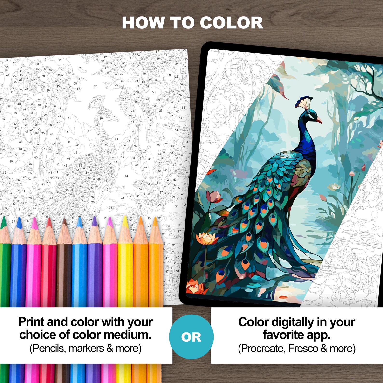 Color by Number Peacock Paint by Numbers Printable Digital Download ...