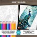 Color by Number Peacock Paint by Numbers Printable Digital Download ...