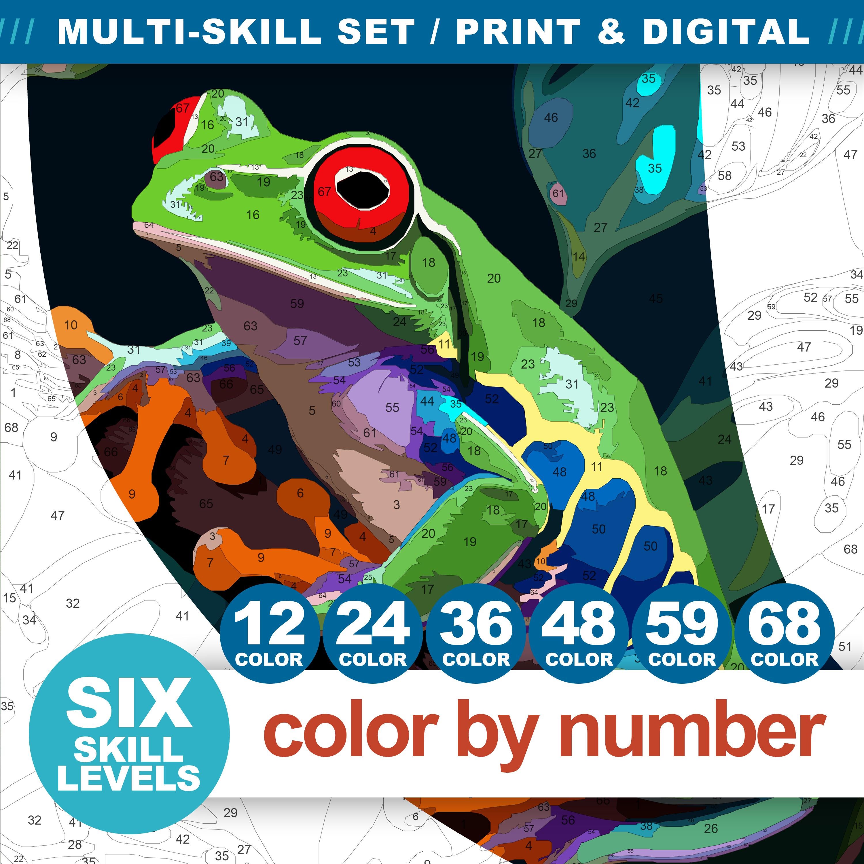 Red Eyed Tree Frog Color by Number: Rainforest Animal Coloring Page ...