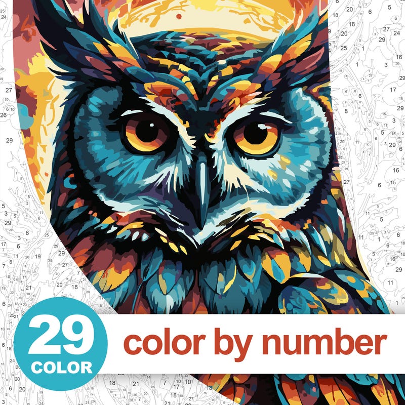 Paint by Number Kit, Owl - Etsy