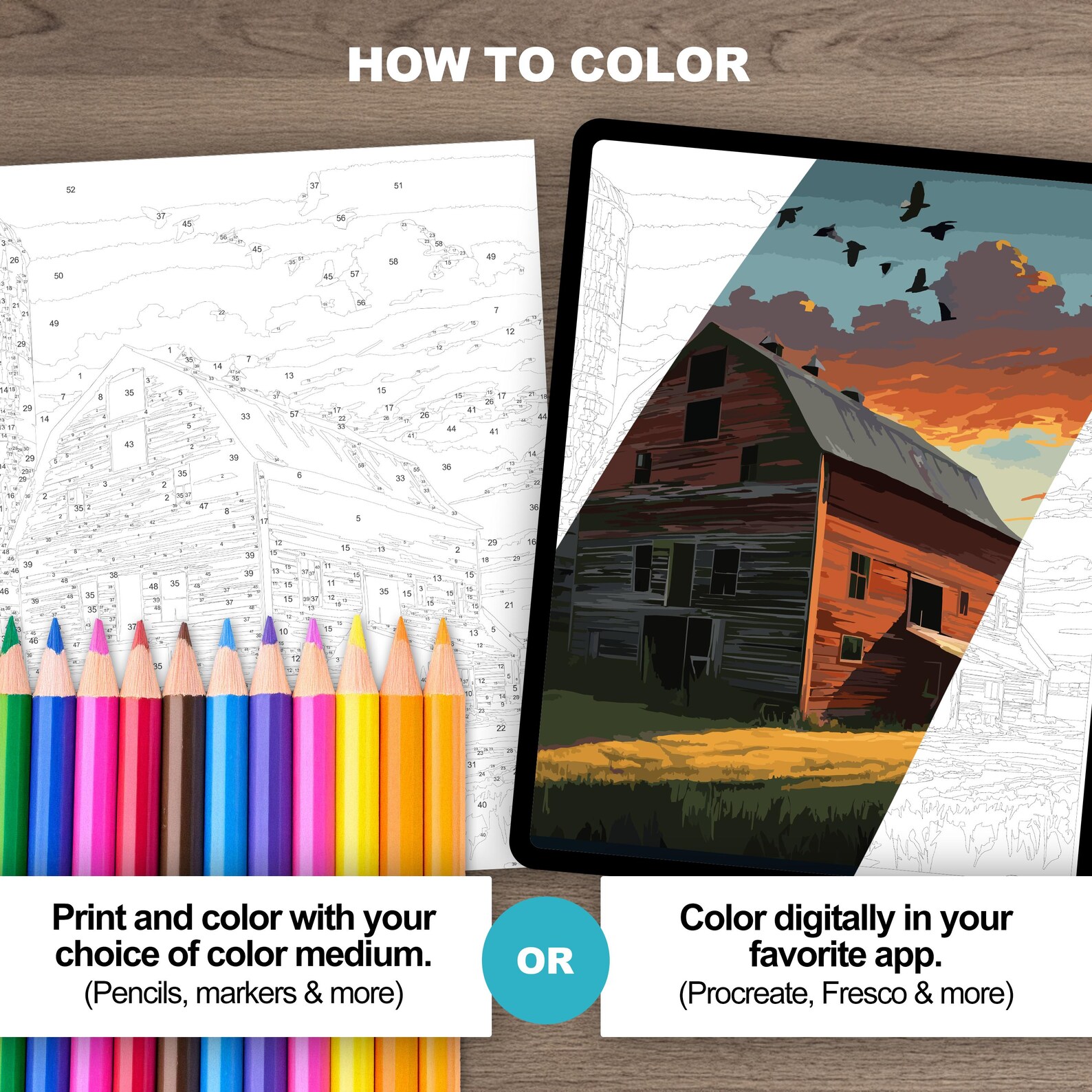 Color by Number Barn (6 Skill Levels): Paint by Numbers Printable ...