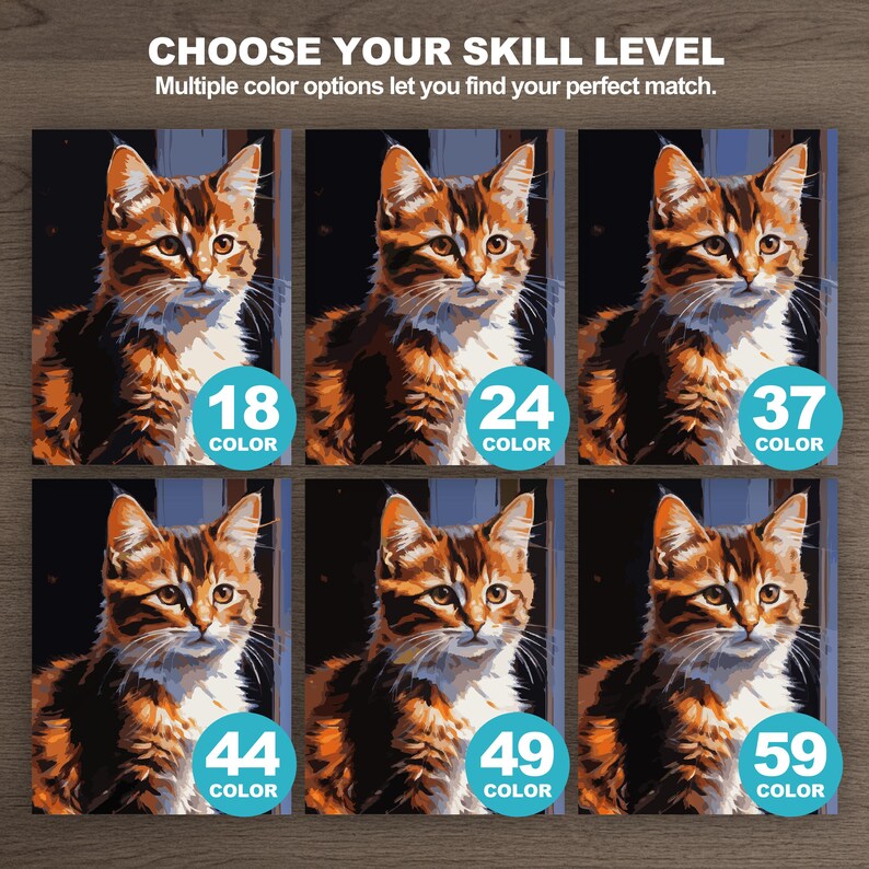 Color by Number Cat (6 Skill Levels): Paint by Numbers Printable Tabby ...