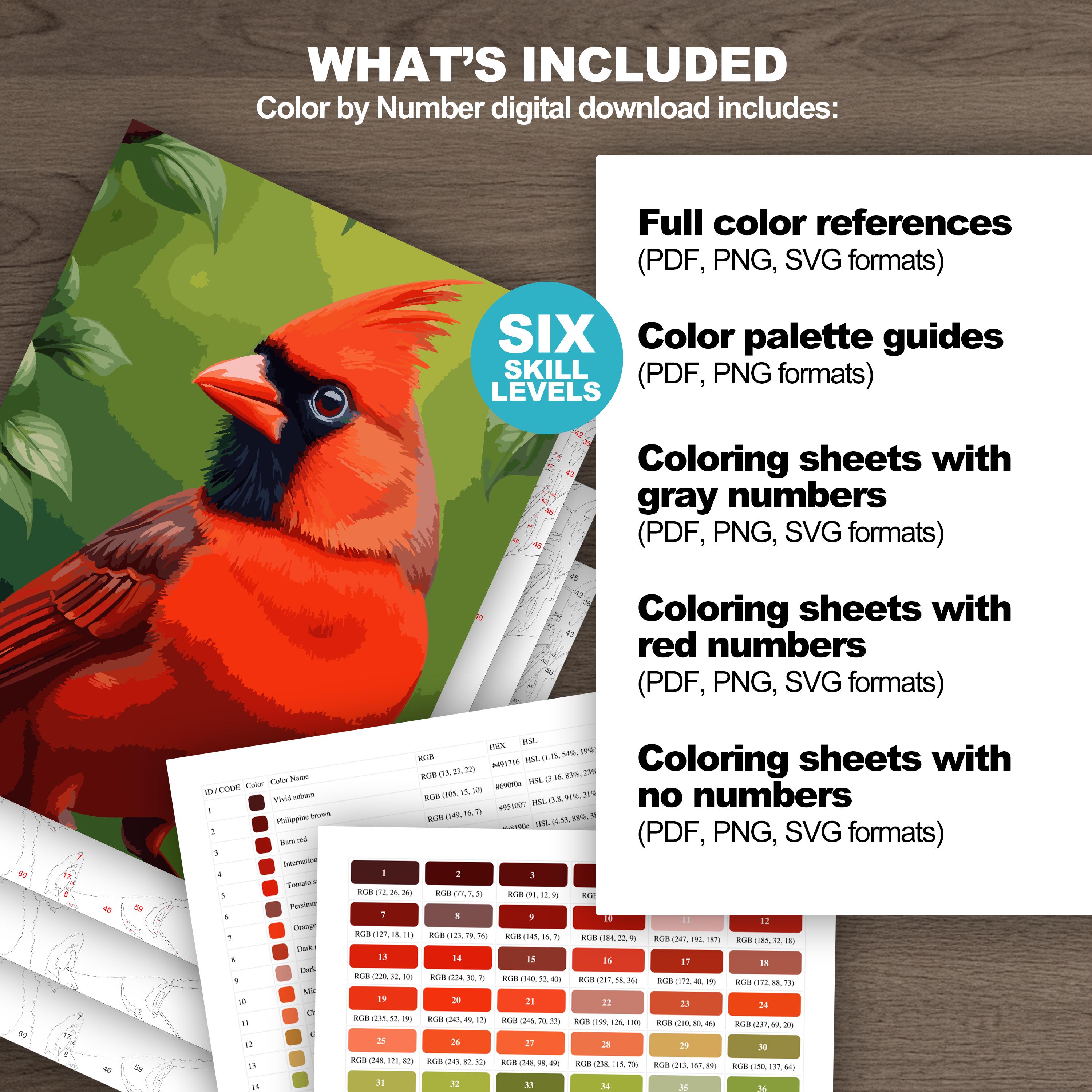 Color by Number Red Cardinal (6 Skill Levels): Paint by Numbers ...