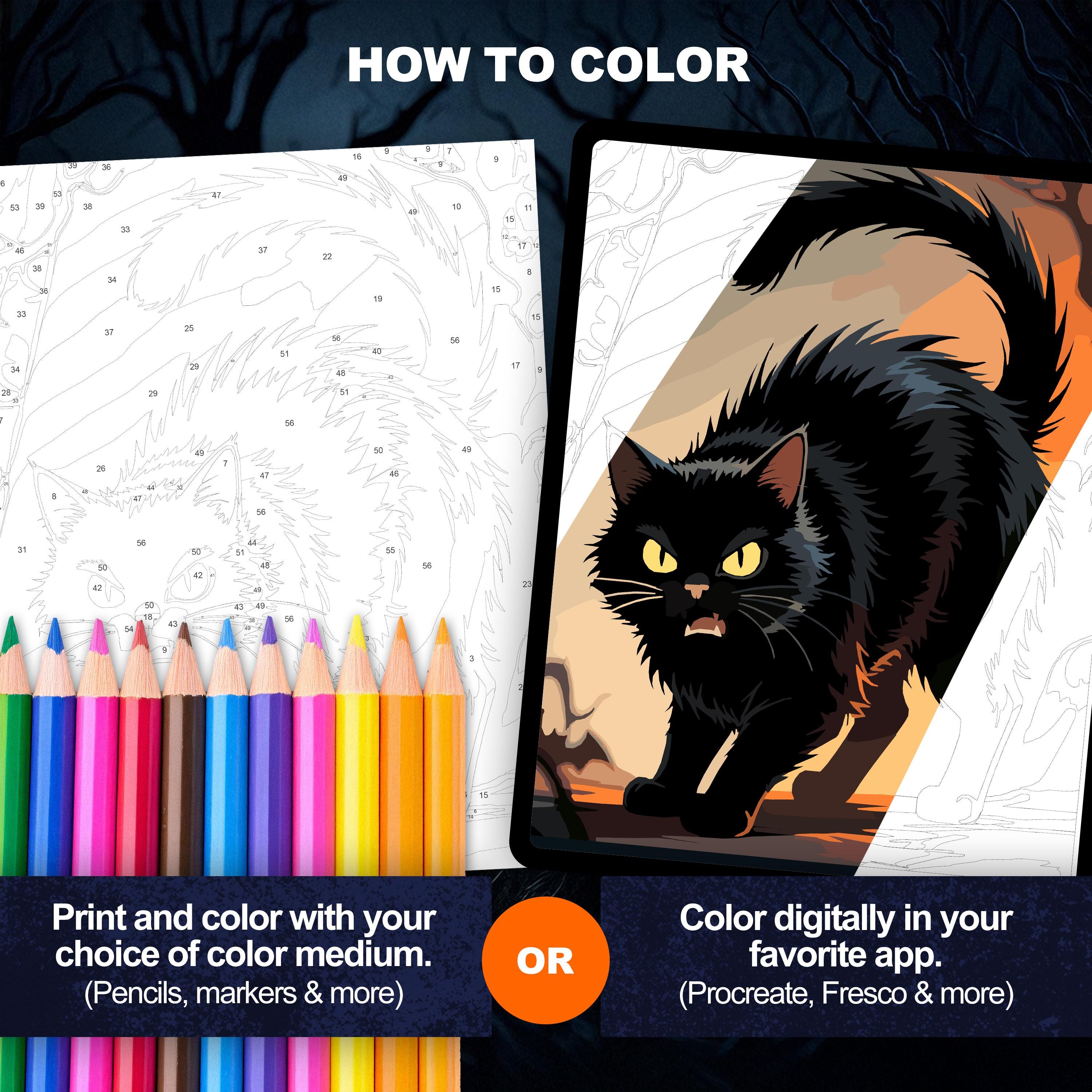 Printable Color by Number Black Cat, Halloween Coloring Page, Digital ...