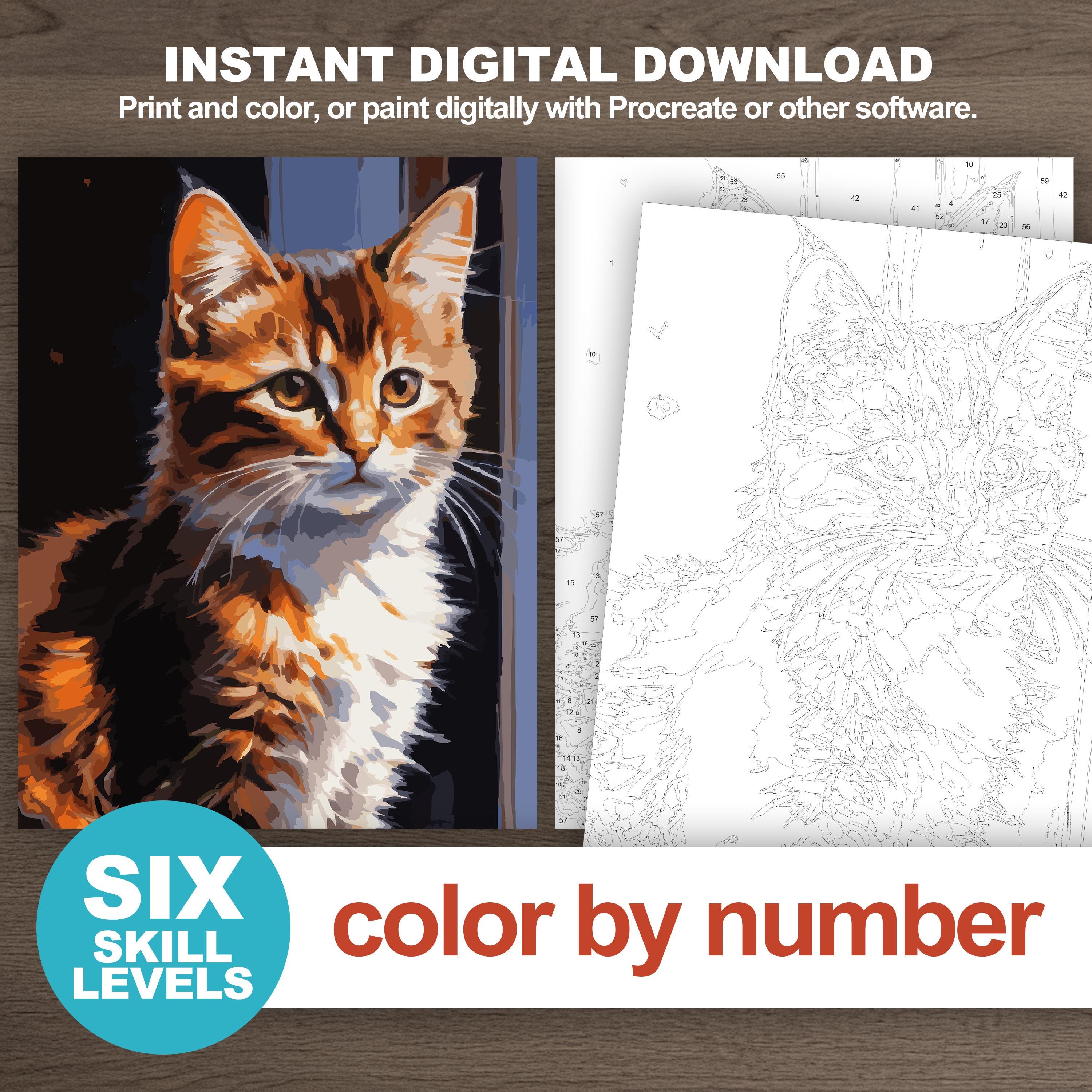 Color by Number Cat (6 Skill Levels): Paint by Numbers Printable Tabby ...