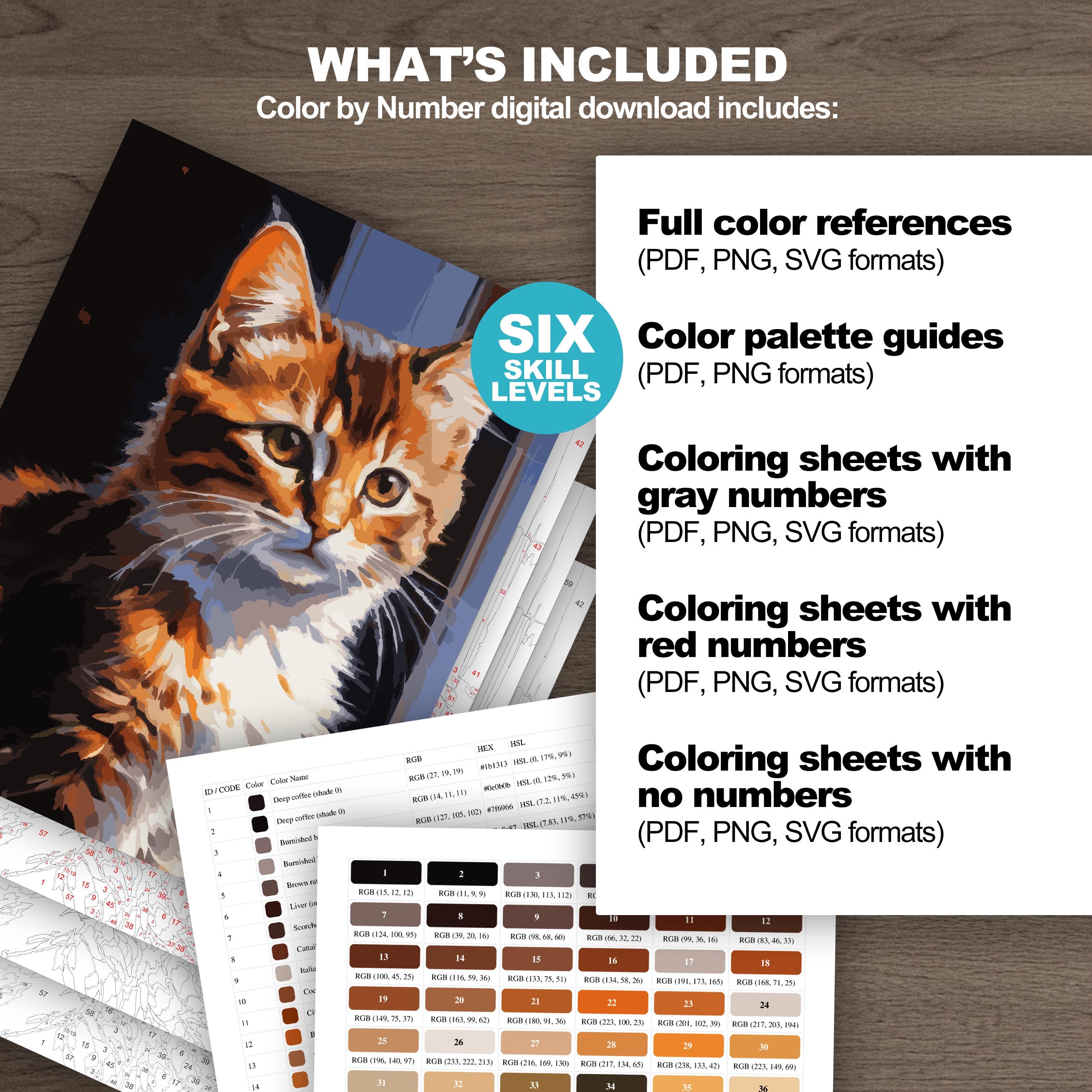 Color by Number Cat (6 Skill Levels): Paint by Numbers Printable Tabby ...