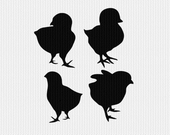 Chicks Svg | Etsy