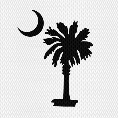 South Carolina Palm Tree SVG & PNG - Etsy