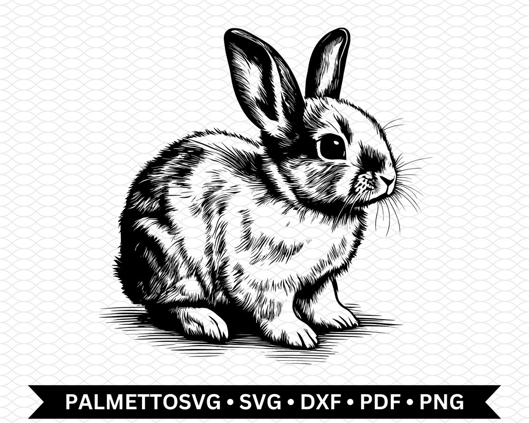 Conejo svg, conejo png, archivo dxf de conejo, archivo cortado de ...