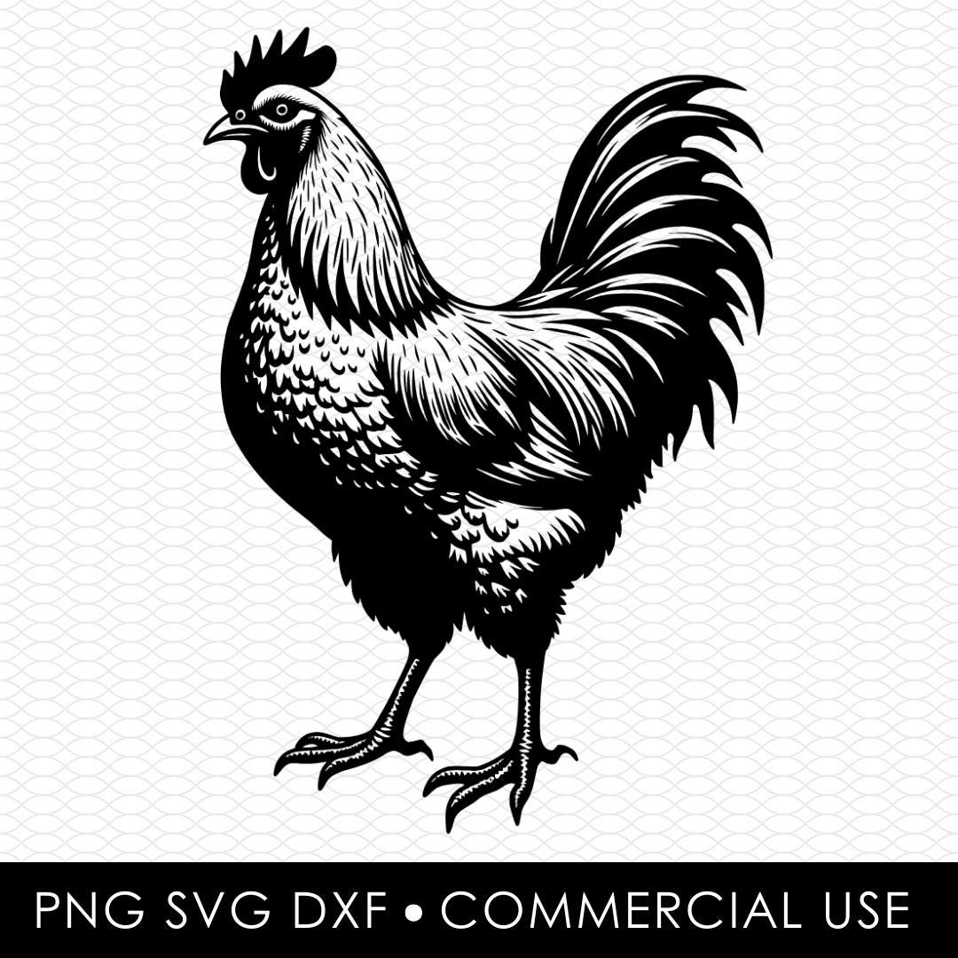 Chicken Svg, Chicken Png, Chicken Dxf, Chicken Sublimation Designs, Png ...
