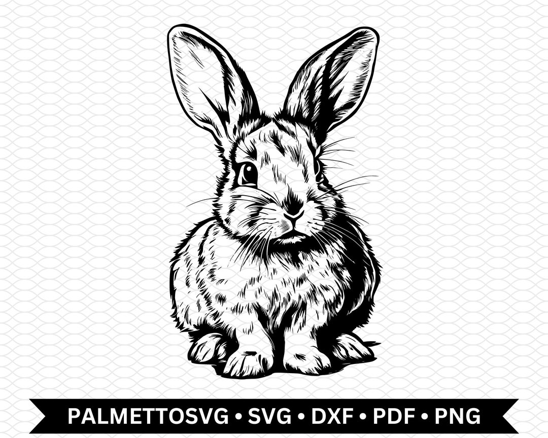 Conejo svg, conejo png, archivo dxf de conejo, archivo cortado de ...
