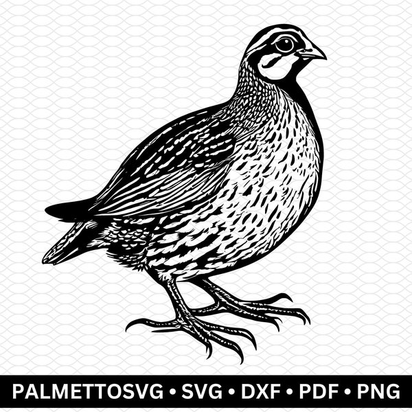 Quail Svg Dxf - Etsy
