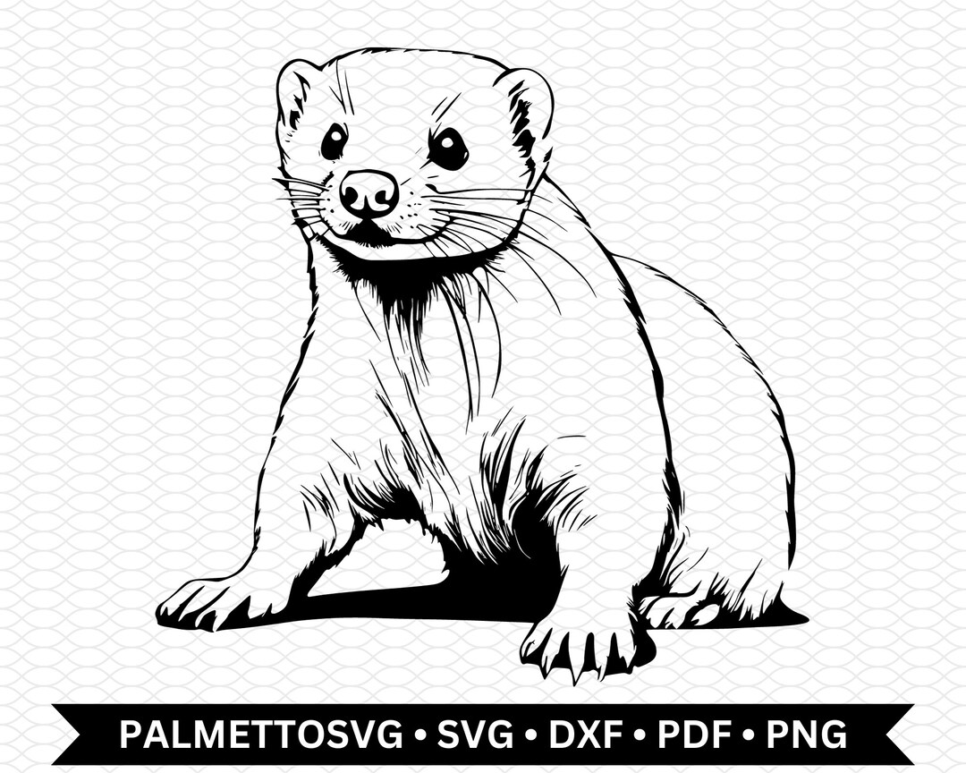 Ferret Svg Png, Sublimation Designs, Png Designs, Svg Designs, Laser ...