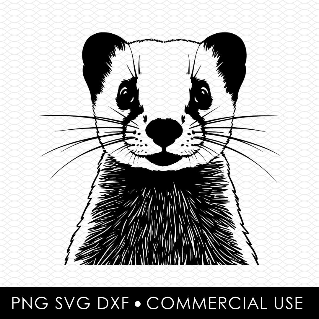 Ferret Svg Png, Sublimation Designs, Png Designs, Svg Designs, Laser ...