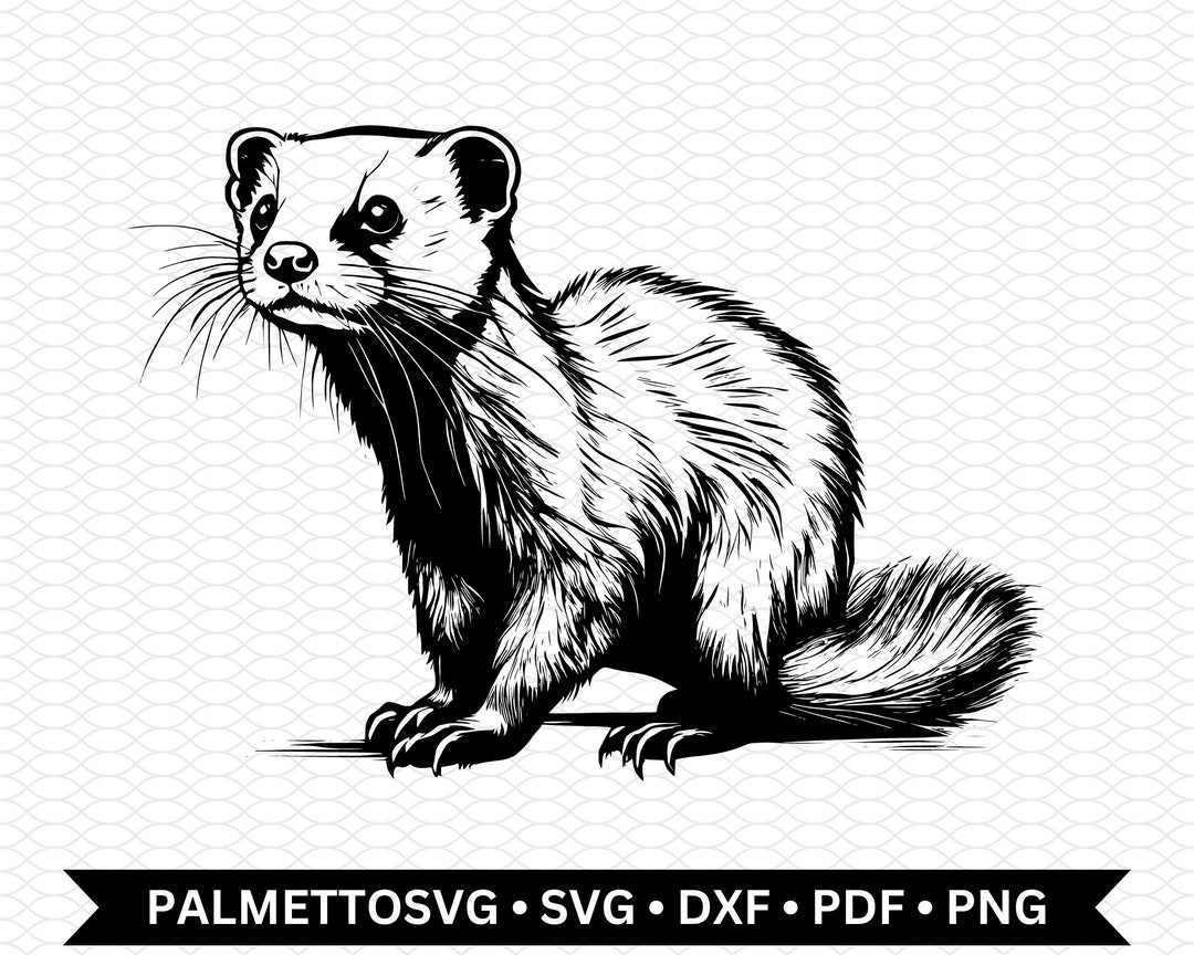 Ferret Svg Png, Sublimation Designs, Png Designs, Svg Designs, Laser ...