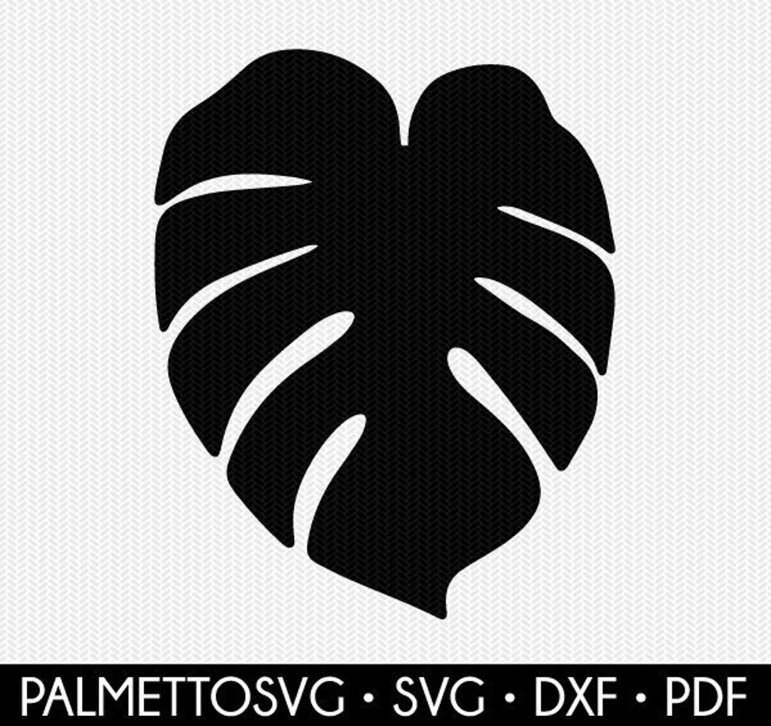 Monstera svg monstera dxf fichier de coupe monstera feuille - Etsy France