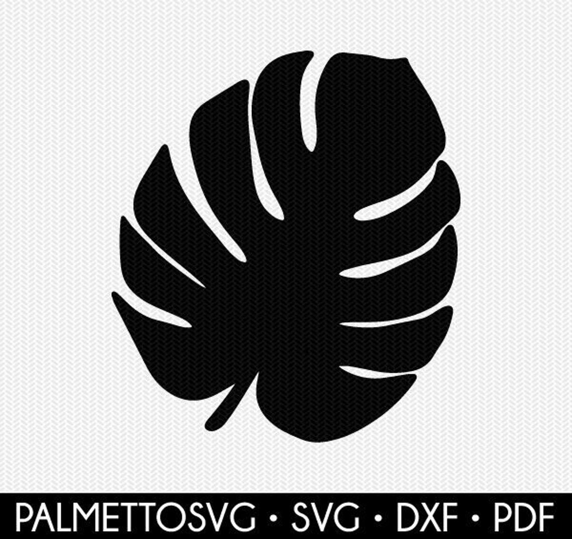 Monstera Svg Monstera Dxf Monstera Cut File Leaf Svg Plant - Etsy