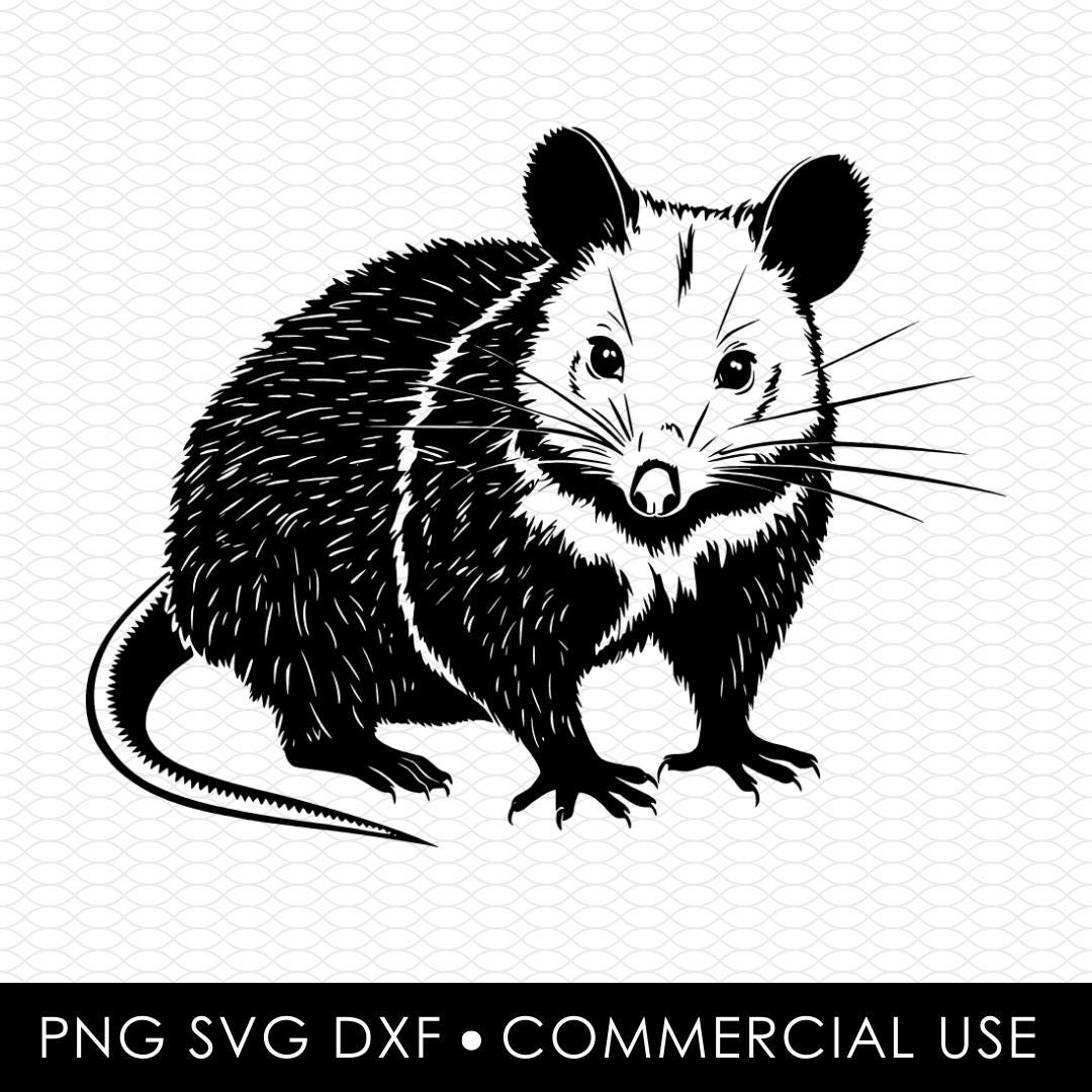 Possum Svg Png, Possum Svg, Possum Png, Possum Dxf, Sublimation Designs ...