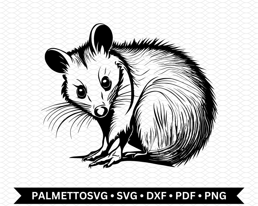 Possum svg, possum png, possum dxf file, possum cut file, cricut ...