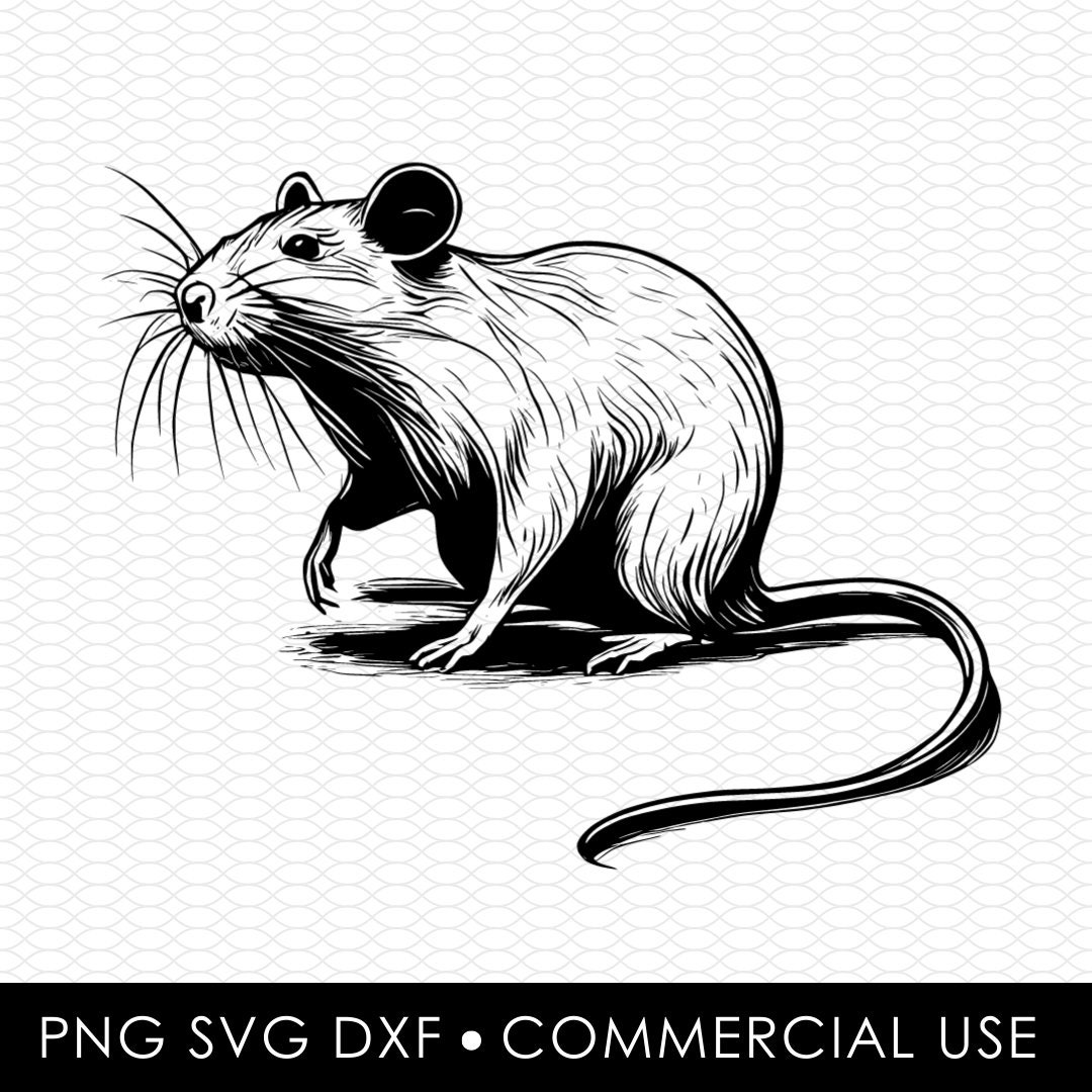 Rat Svg, Rat Png, Rat Cut File, Rat Sublimation Designs, Png Designs ...