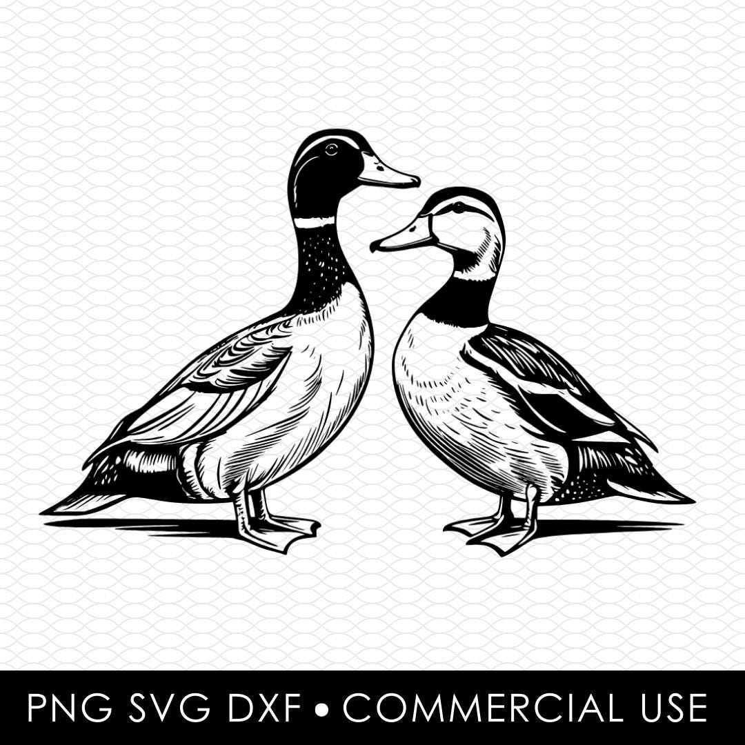 Pato svg png, pato svg, pato png, diseños de sublimación, diseños png ...
