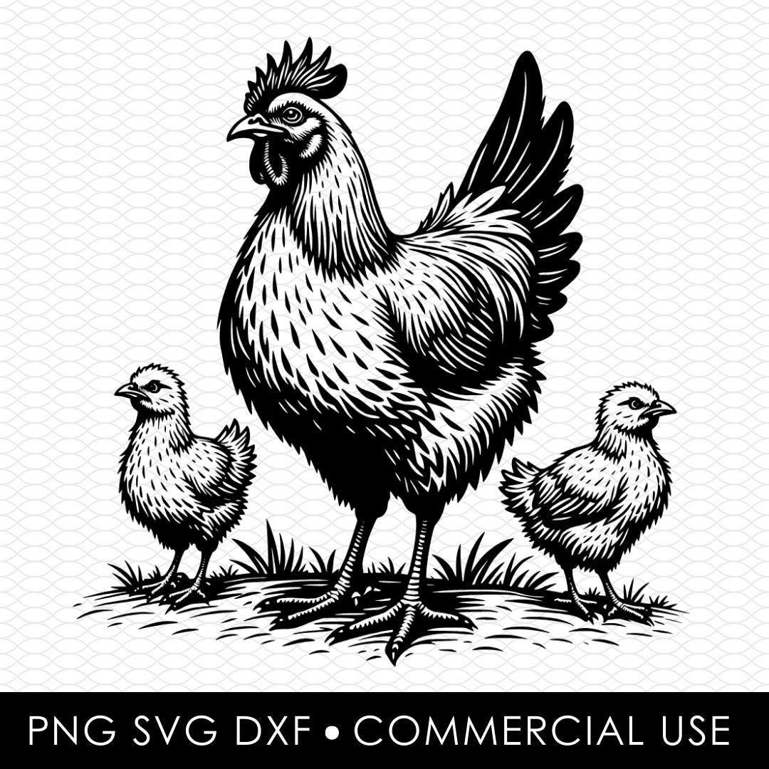 Chicken Svg, Chicken Png, Chicken Dxf, Chicken Sublimation Designs, Png ...