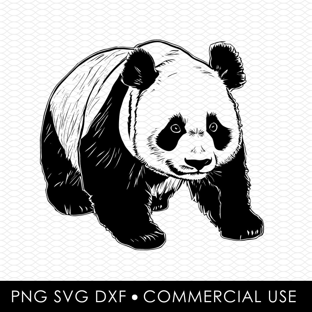 Panda Svg Png, Sublimation Designs, Png Designs, Svg Designs, Laser Cut ...