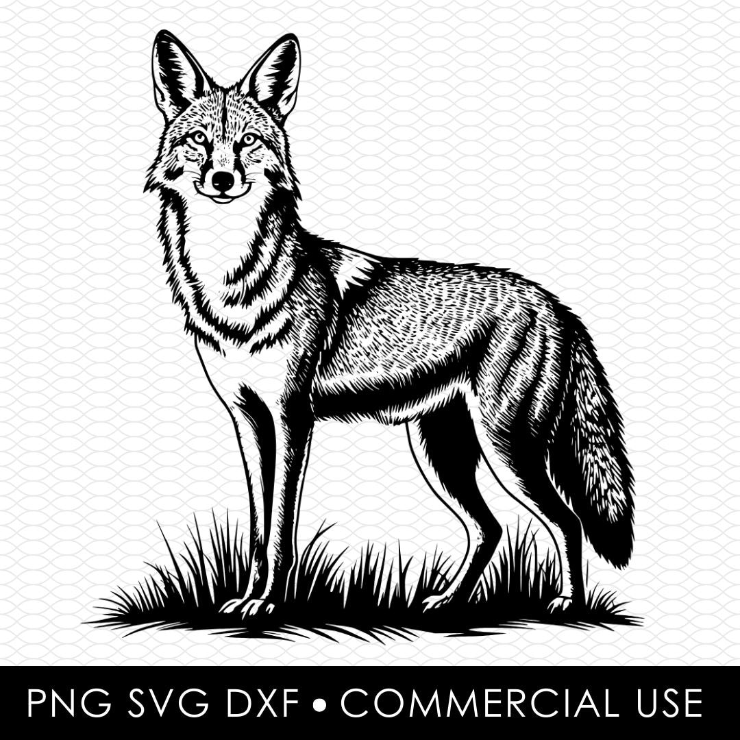 Coyote Svg, Coyote Png, Coyote Cut File, Coyote Png, Sublimation ...