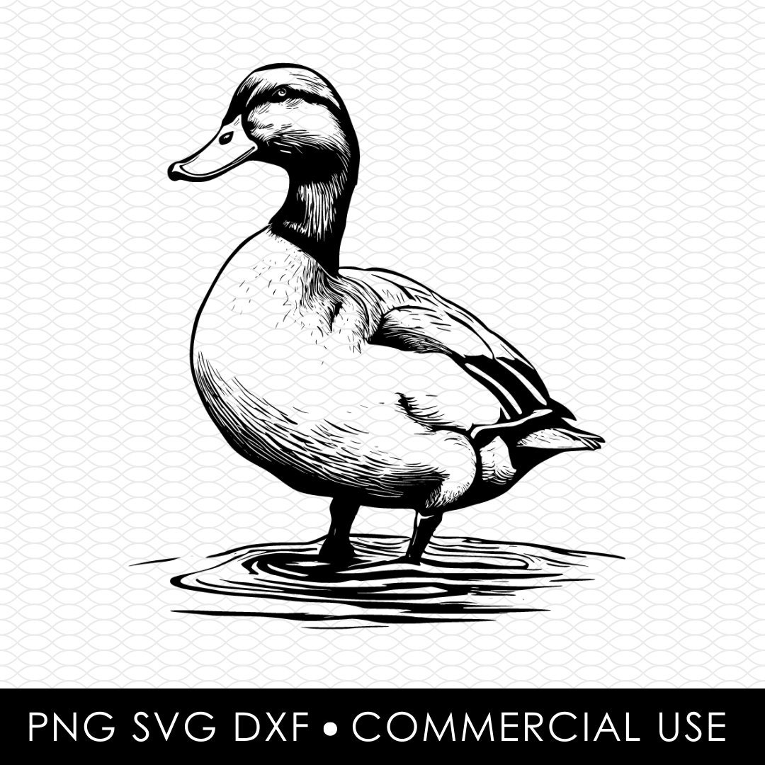 Pato svg png, diseños de sublimación, diseños png, diseños svg, diseños ...