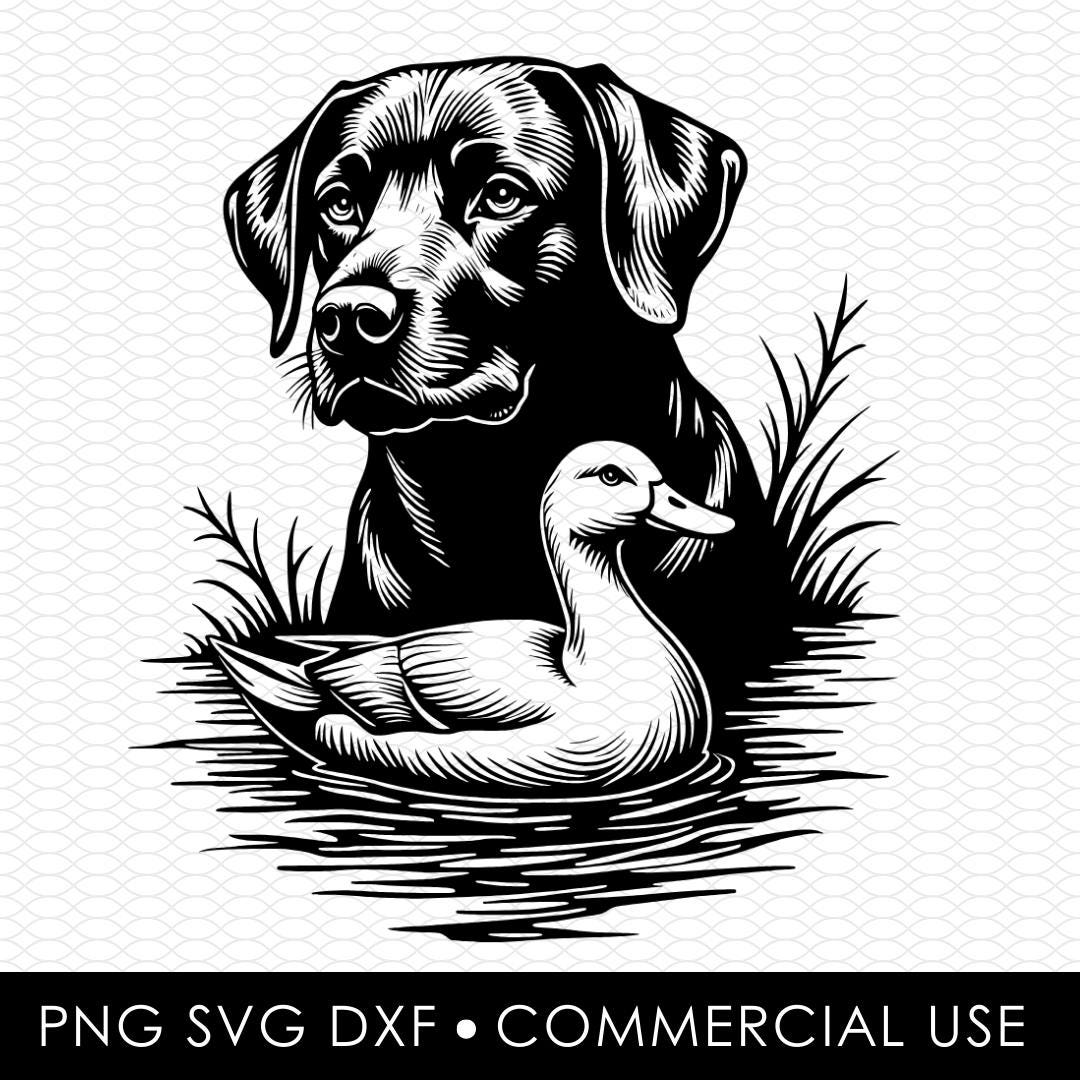 Labrador Svg, Duck Svg, Duck Hunting Svg, Labrador Png, Sublimation ...