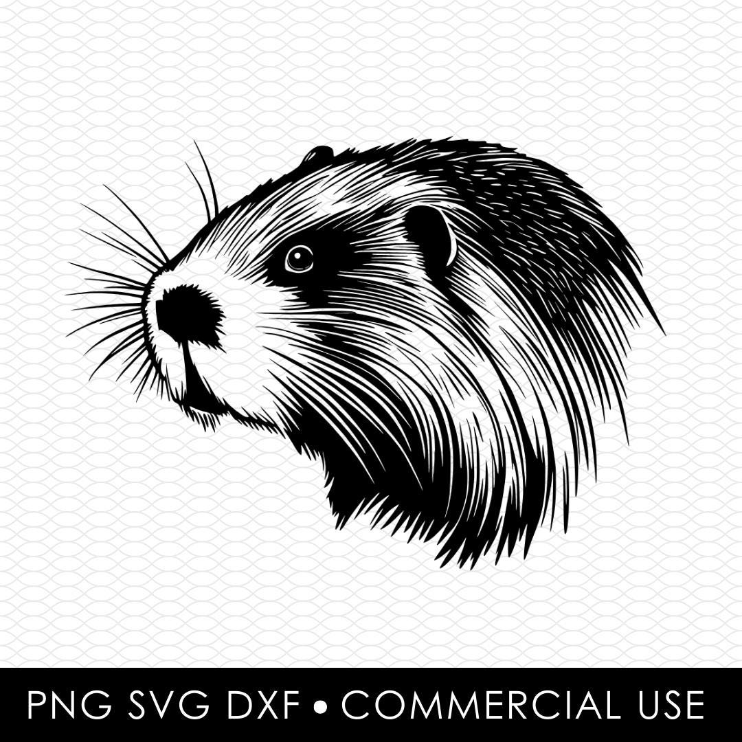 Beaver Svg Png, Beaver Svg, Beaver Png, Beaver Png Design, Sublimation ...