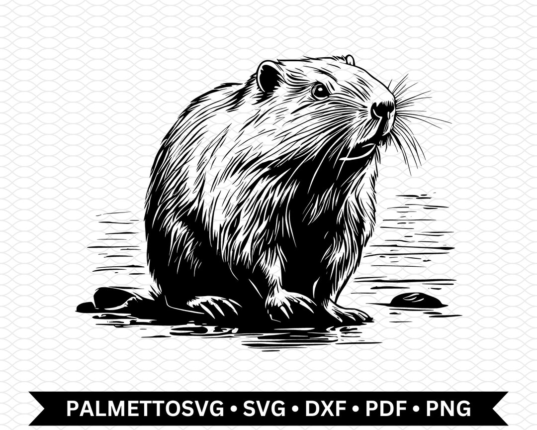 Beaver Svg, Beaver Dxf, Beaver Cut File, Beaver Clip Art, Beaver Png ...