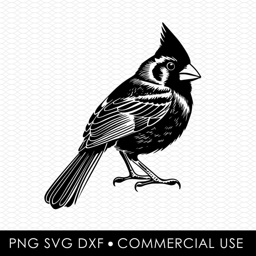 Cardinal Svg, Cardinal Png, Cardinal Cut File, Cardinal Sublimation ...