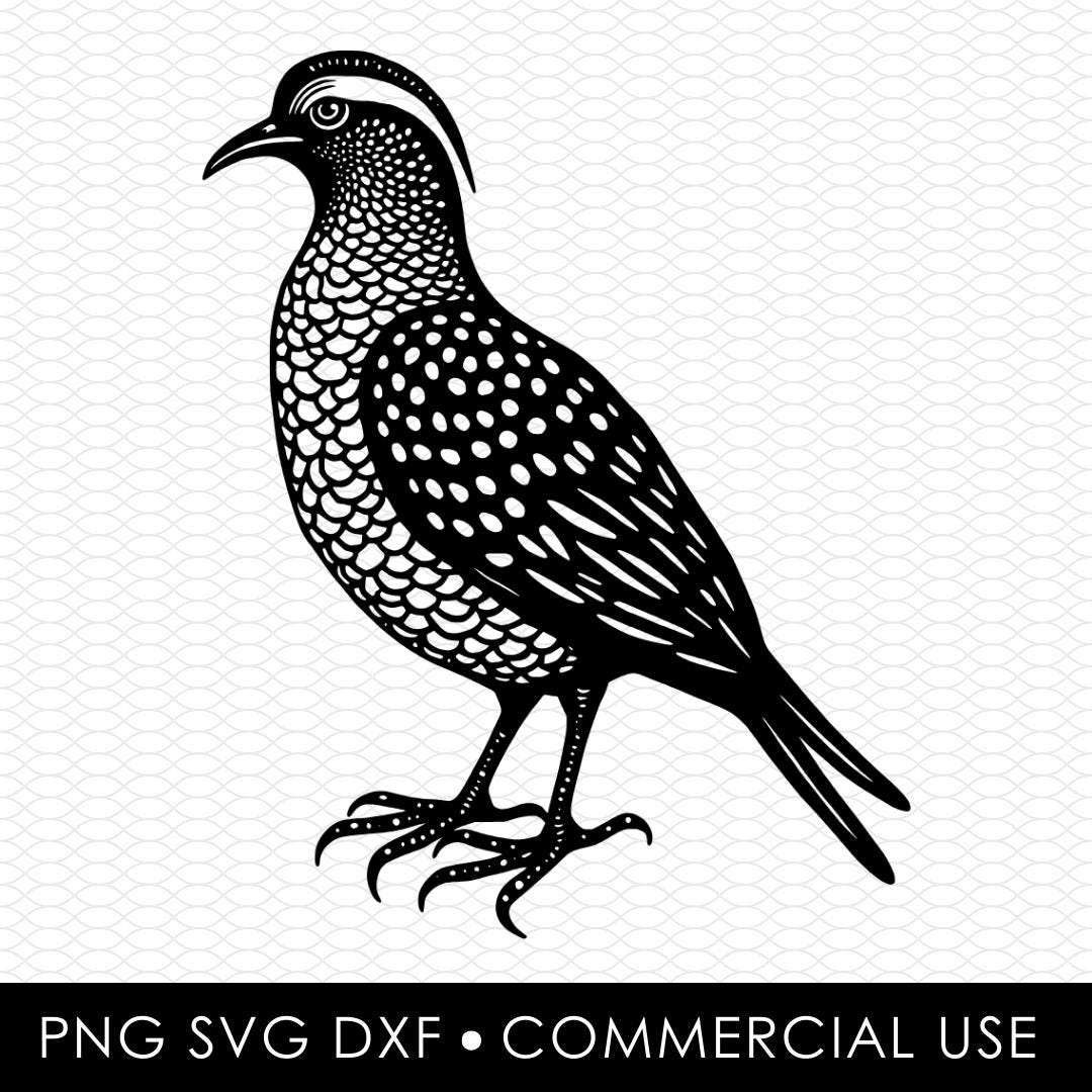 Quail Svg, Quail Png, Quail Dxf, Quail Cut File, Sublimation Designs ...