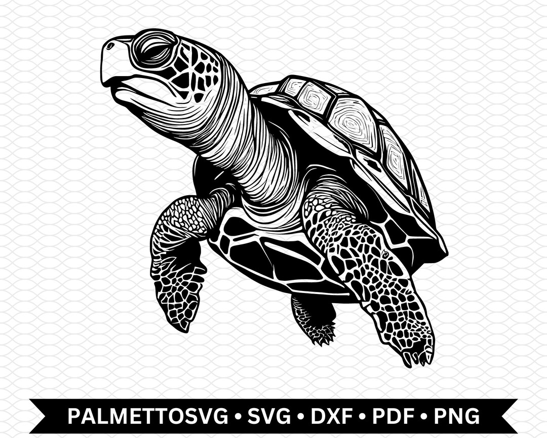 Turtle Svg, Turtle Dxf, Turtle Cut File, Turtle Png, Svg Files for ...